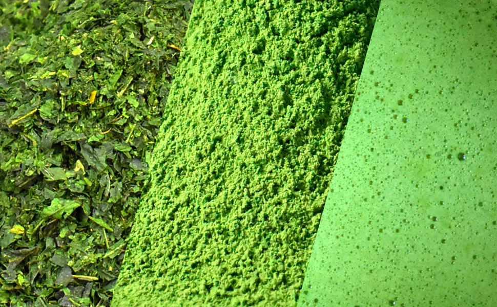 HAPPY MATCHA DAY! - Yamasan Co., Ltd.