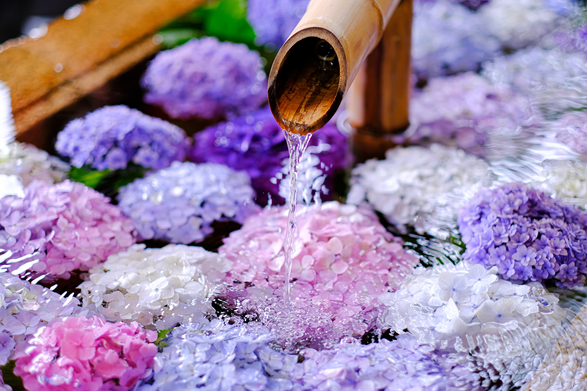 Energizing and Refreshing Matcha in Summer - Yamasan Co., Ltd.