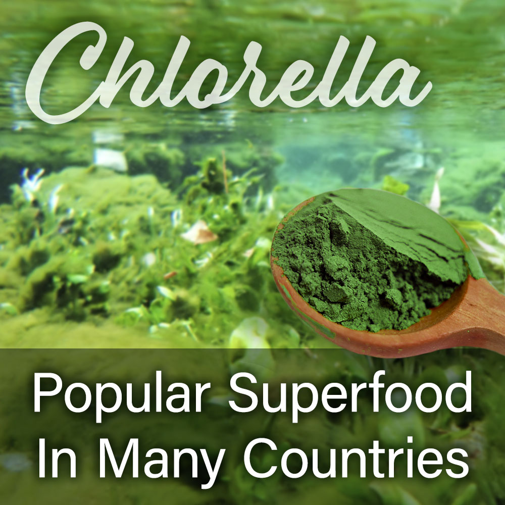 Chlorella Matcha 1.0 - Yamasan Co., Ltd.
