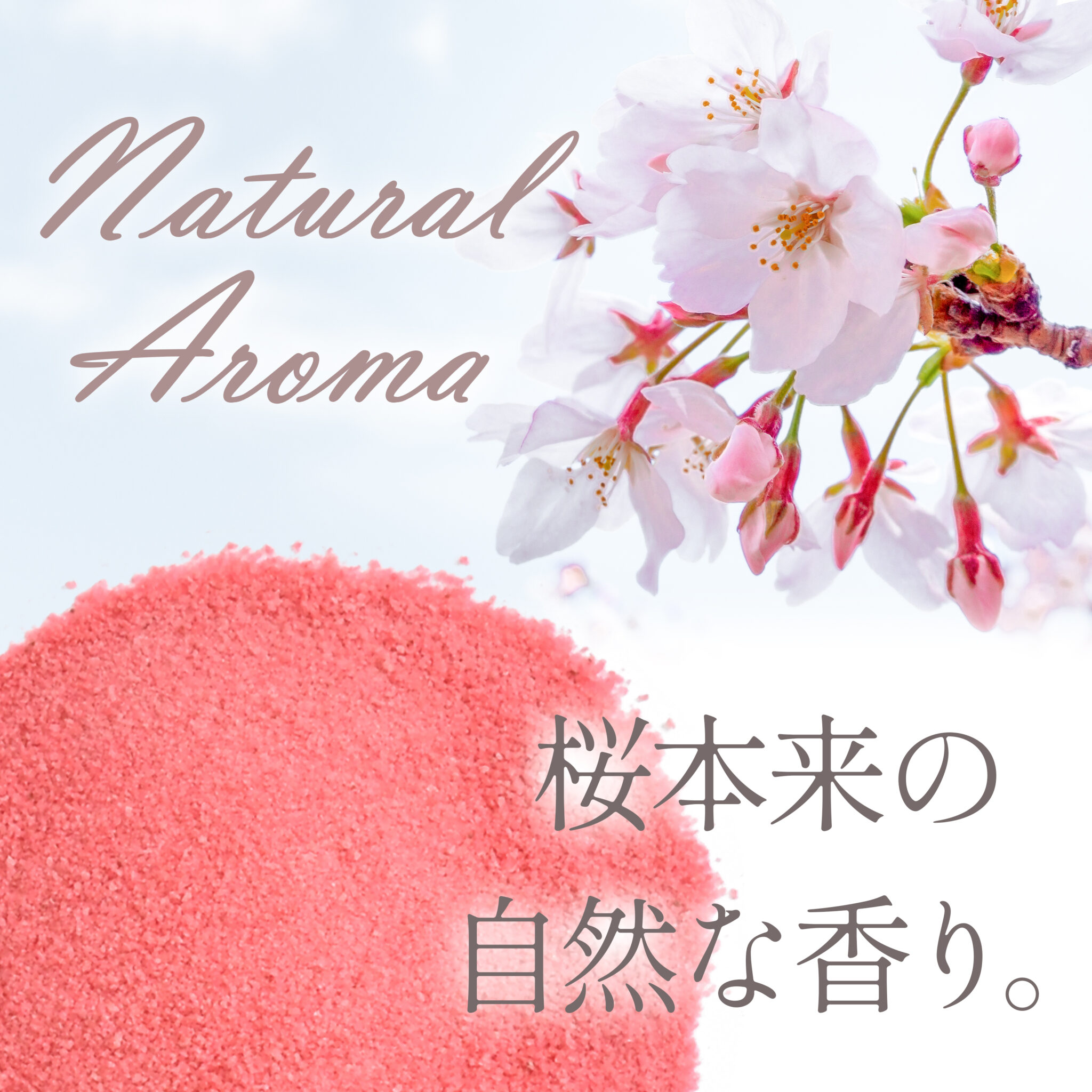 Sakura Cherry Blossom Powder - Yamasan Co., Ltd.