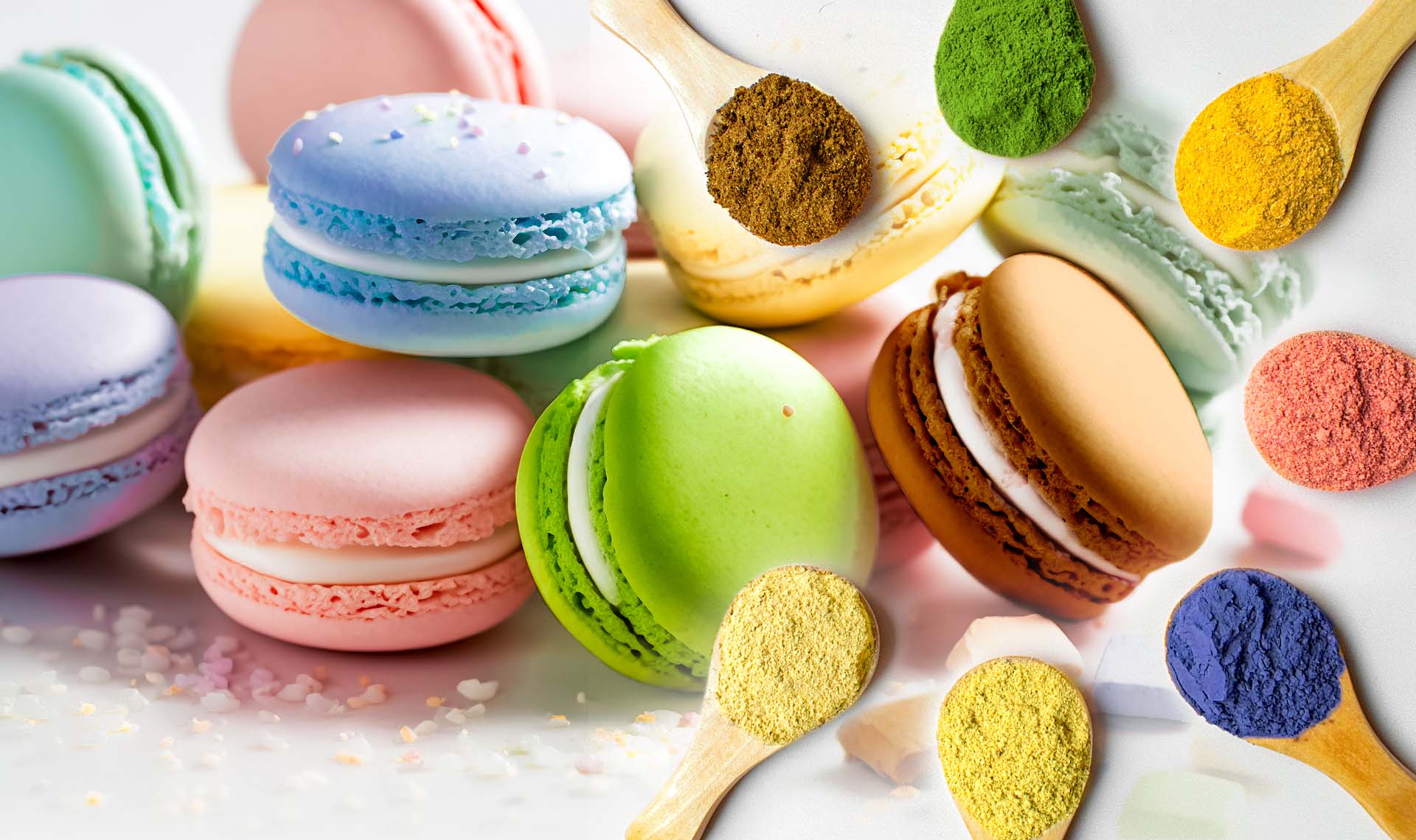 CULINARY & FLAVOR POWDER - Yamasan Co., Ltd.