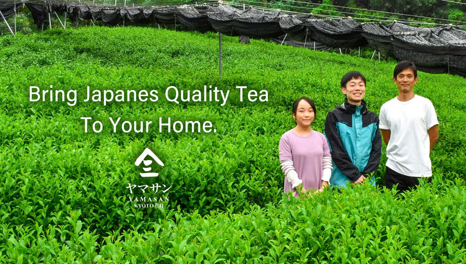 The Matcha Shortage and Japan's Supply Chain Woes - Yamasan Co., Ltd.