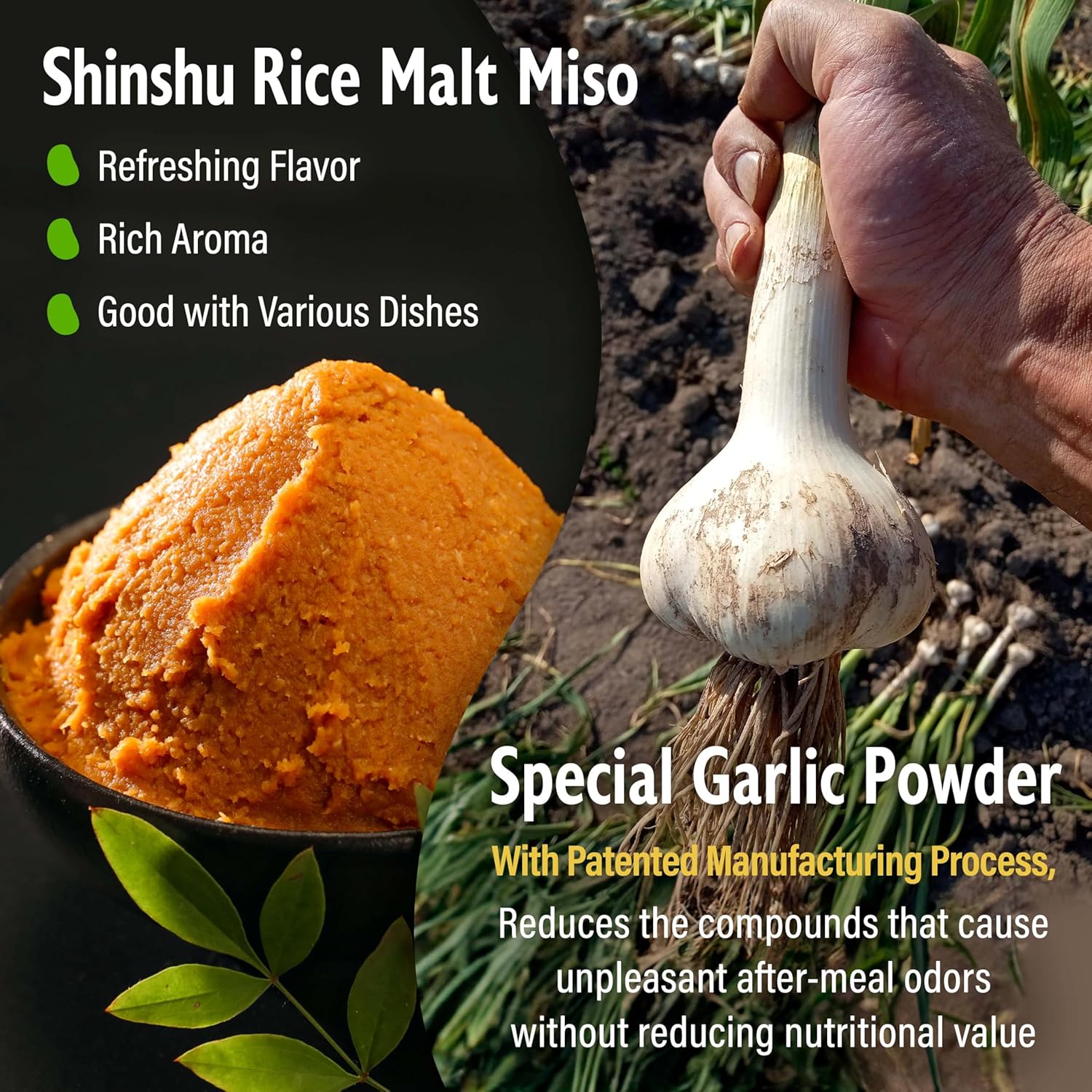 MISO POWDER - Yamasan Co., Ltd.
